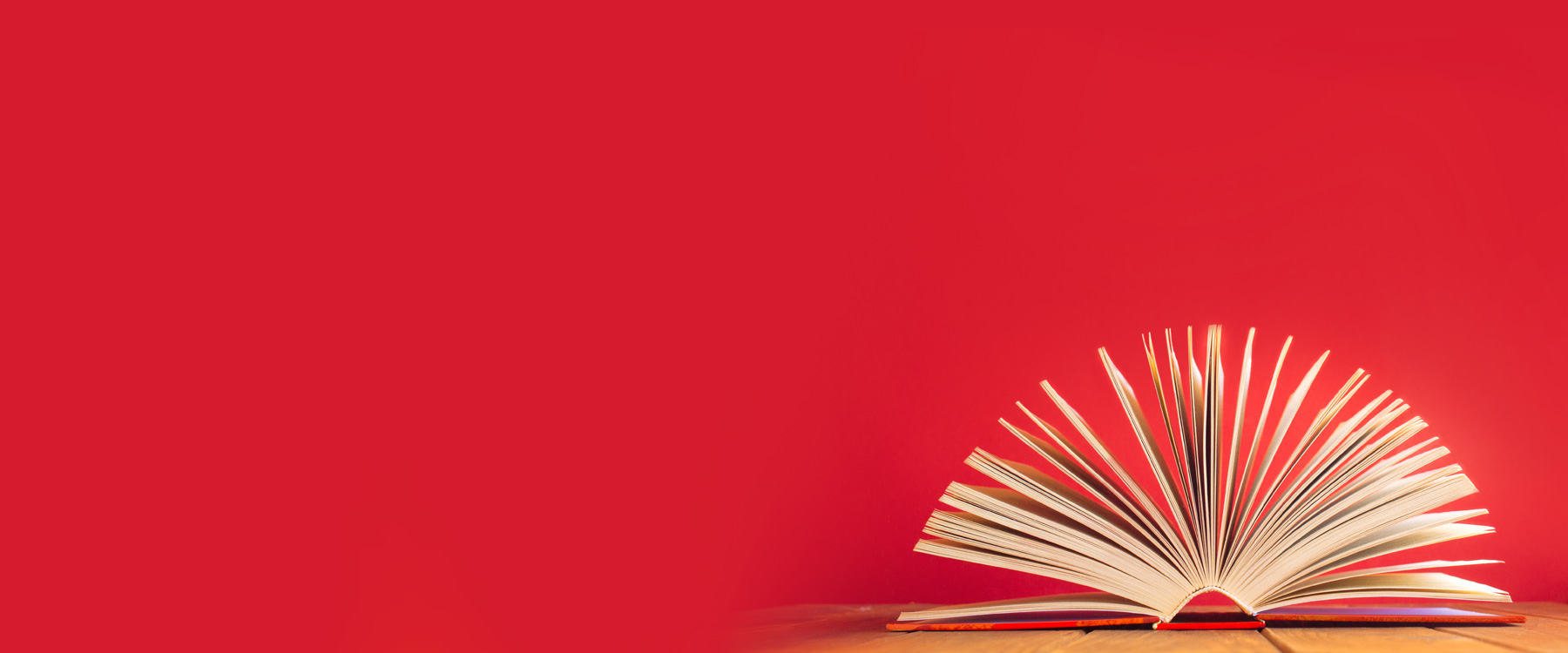 Special Offers | Books at Mortons Books