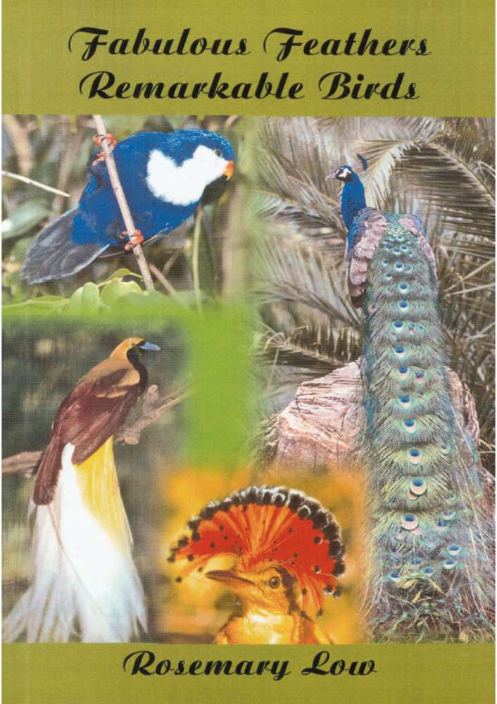 3734 - Fabulous Feathers, Remarkable Birds | Products at Classic Magazines