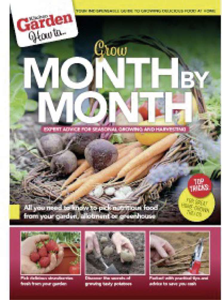 How to... Grow month by month guide | Products at Classic Magazines
